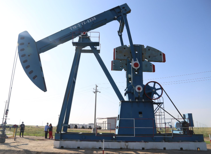 Петро чайна дачин тамсаг ХХК нь химийн хорт болон аюултай бодис